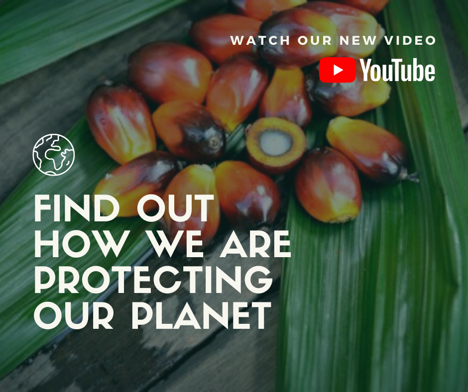 This video shows how we respect and protect our environment - Phenolaeis